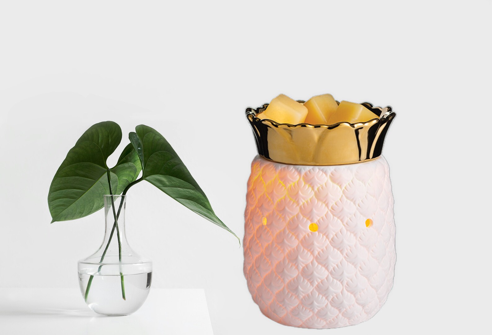 Electric Fragrance Warmer | Electric Wax Warmer | Plug in Warmer | Home ...