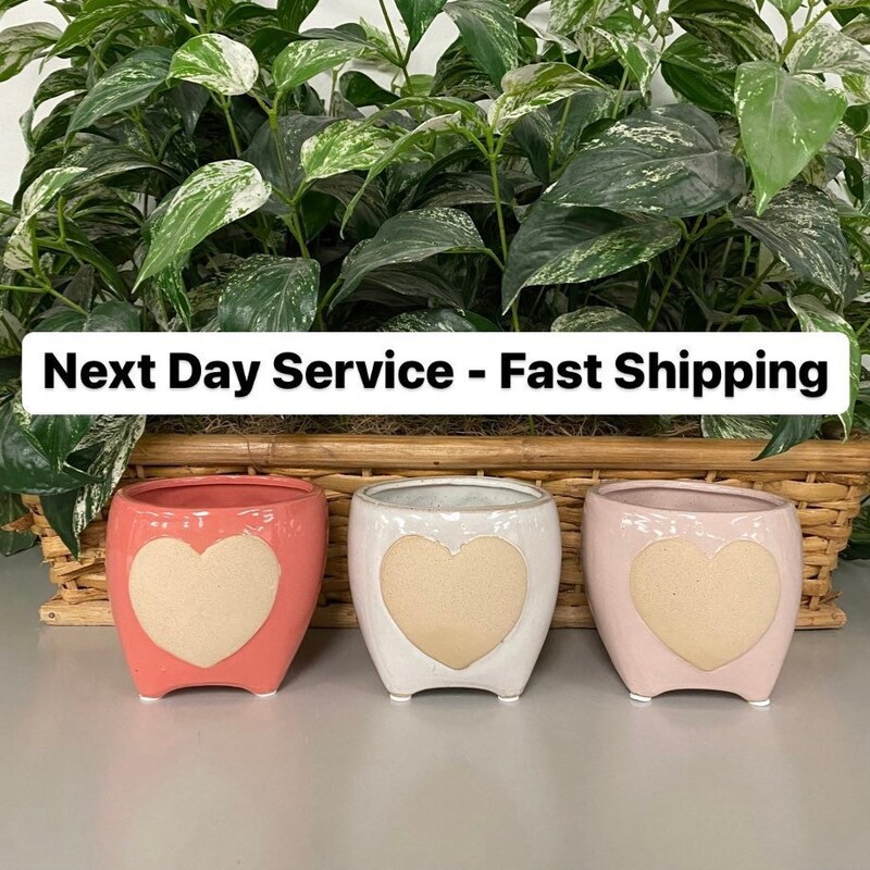 Heart Shaped Pot - Etsy