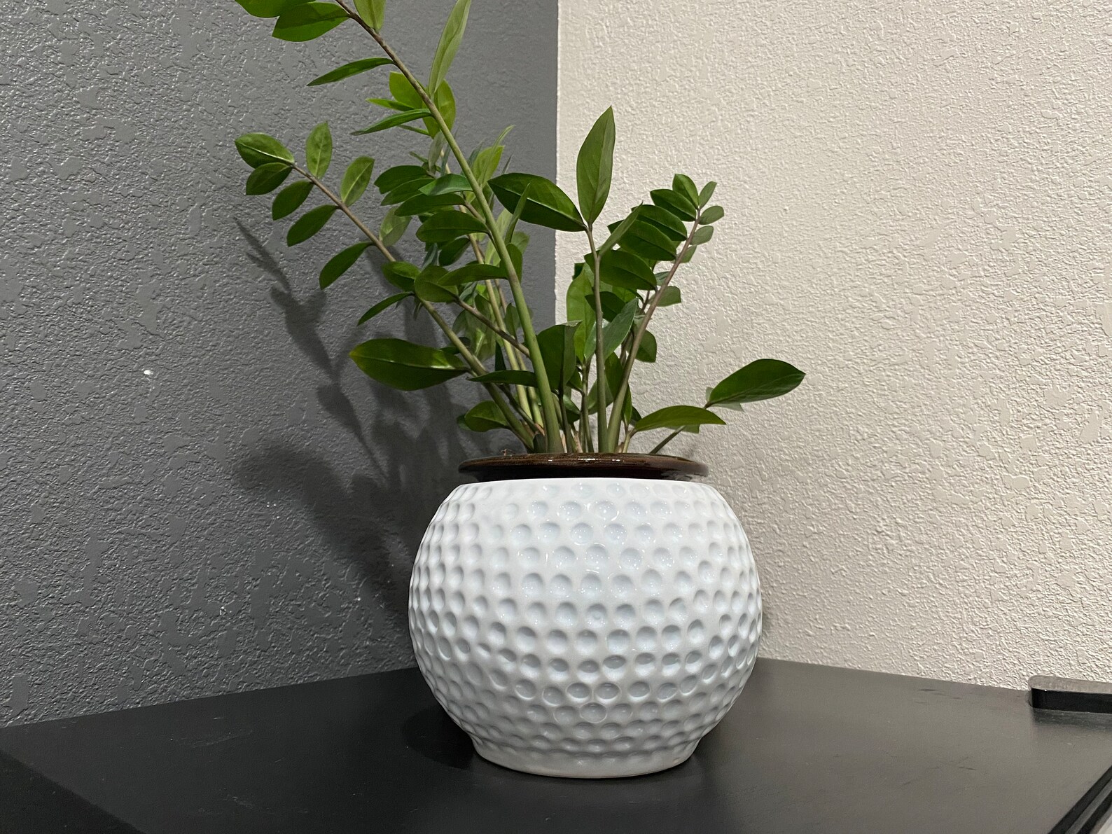 Round Golf Ball Ceramic Planter, White Spherical Display Pot Home Decor ...