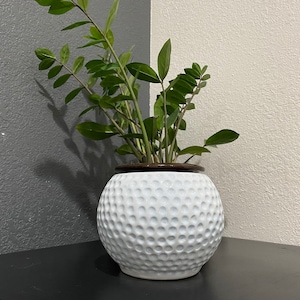 Round Golf Ball Ceramic Planter, White Spherical Display Pot Home Decor ...