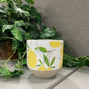 CYLINDER Lemon Cement Planter, Flower Pot Bowl W/ Drainage Hole, Loose ...