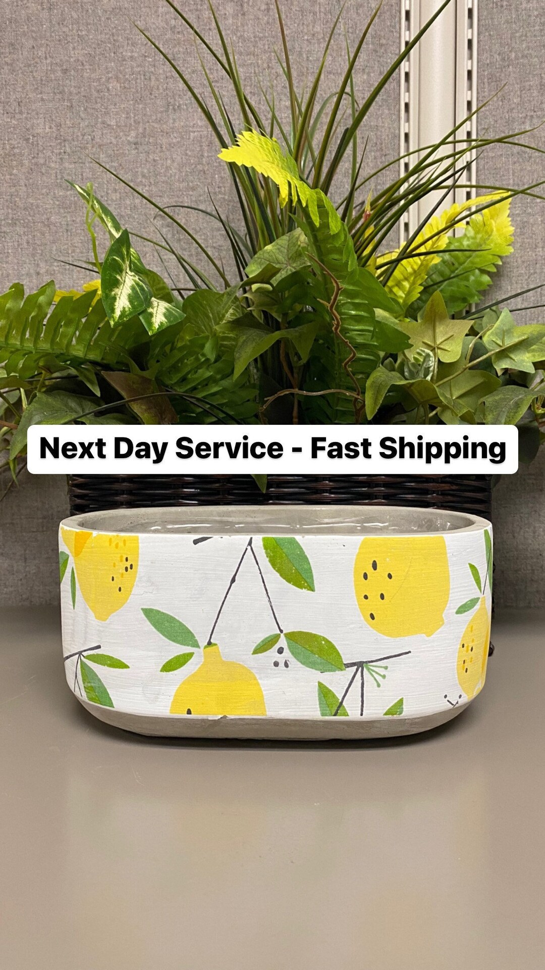 RECTANGULAR Lemon Cement Planter, Flower Pot Bowl W Drainage Hole ...