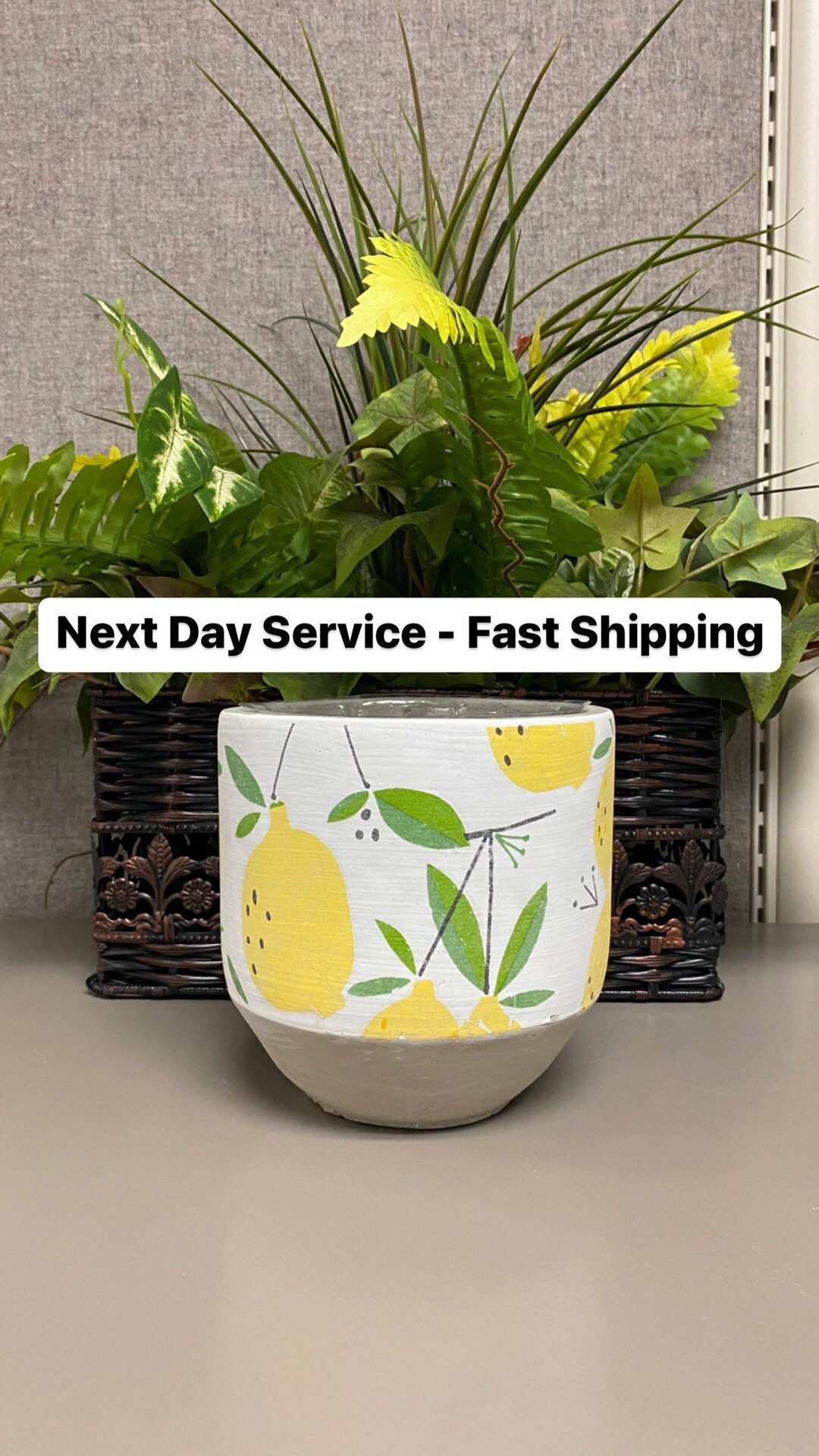 CYLINDER Lemon Cement Planter, Flower Pot Bowl W/ Drainage Hole, Loose ...