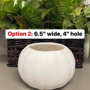 WHITE Pumpkin Planter, Ceramic Round Pumpkin Flower Pot, Halloween ...