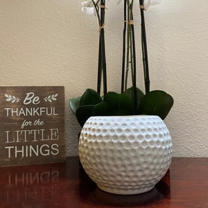 Round Golf Ball Ceramic Planter, White Spherical Display Pot Home Decor ...