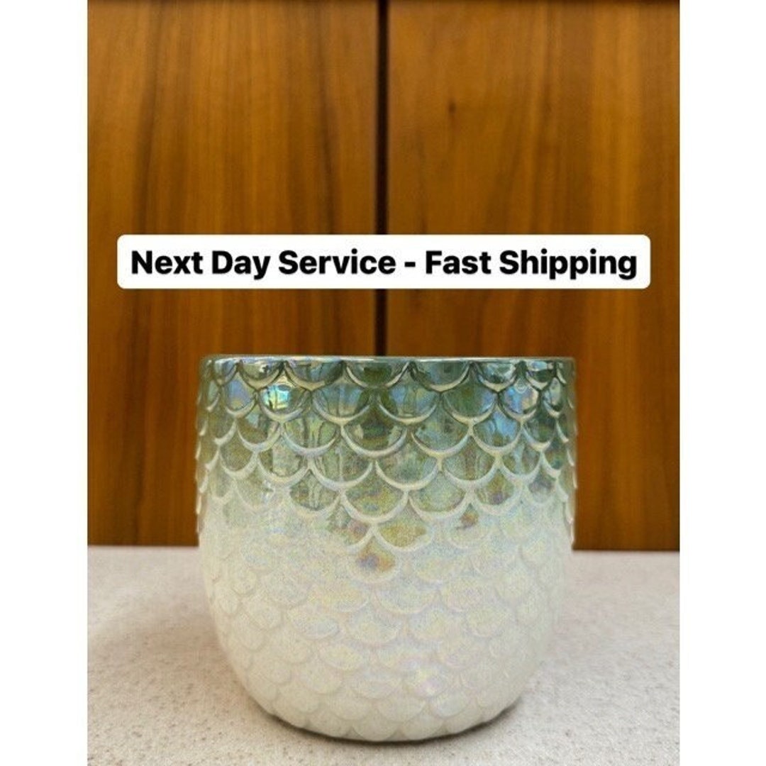 Iridescent Mermaid Tail Pot, Ceramic Fish Scale Planter, Table ...