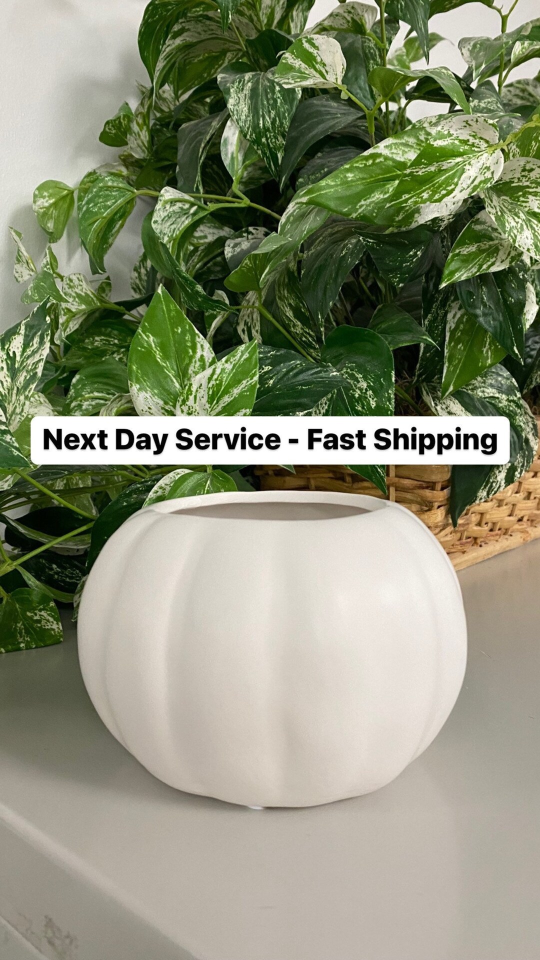 WHITE Pumpkin Planter, Ceramic Round Pumpkin Flower Pot, Halloween ...