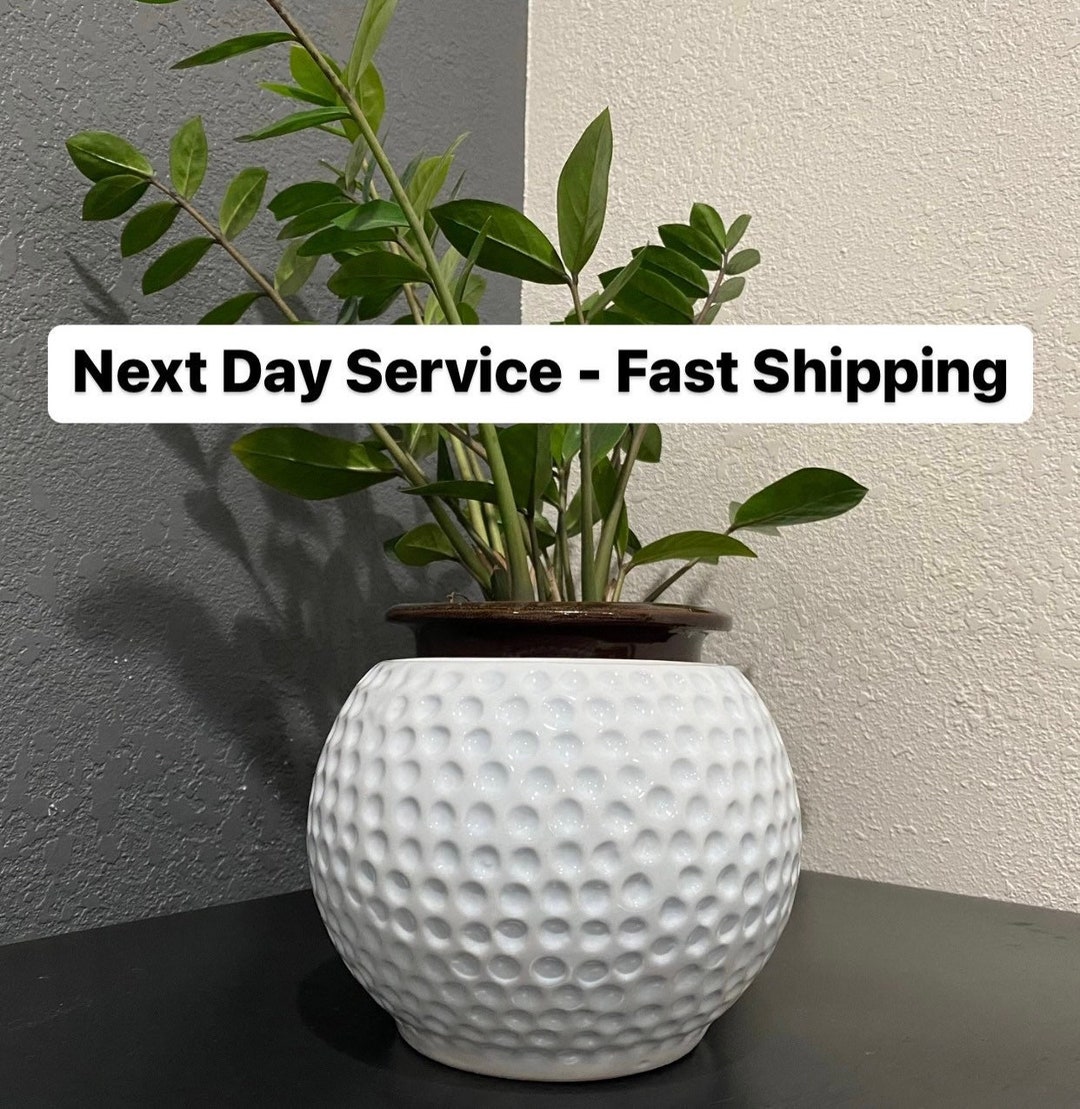 Round Golf Ball Ceramic Planter, White Spherical Display Pot Home Decor ...