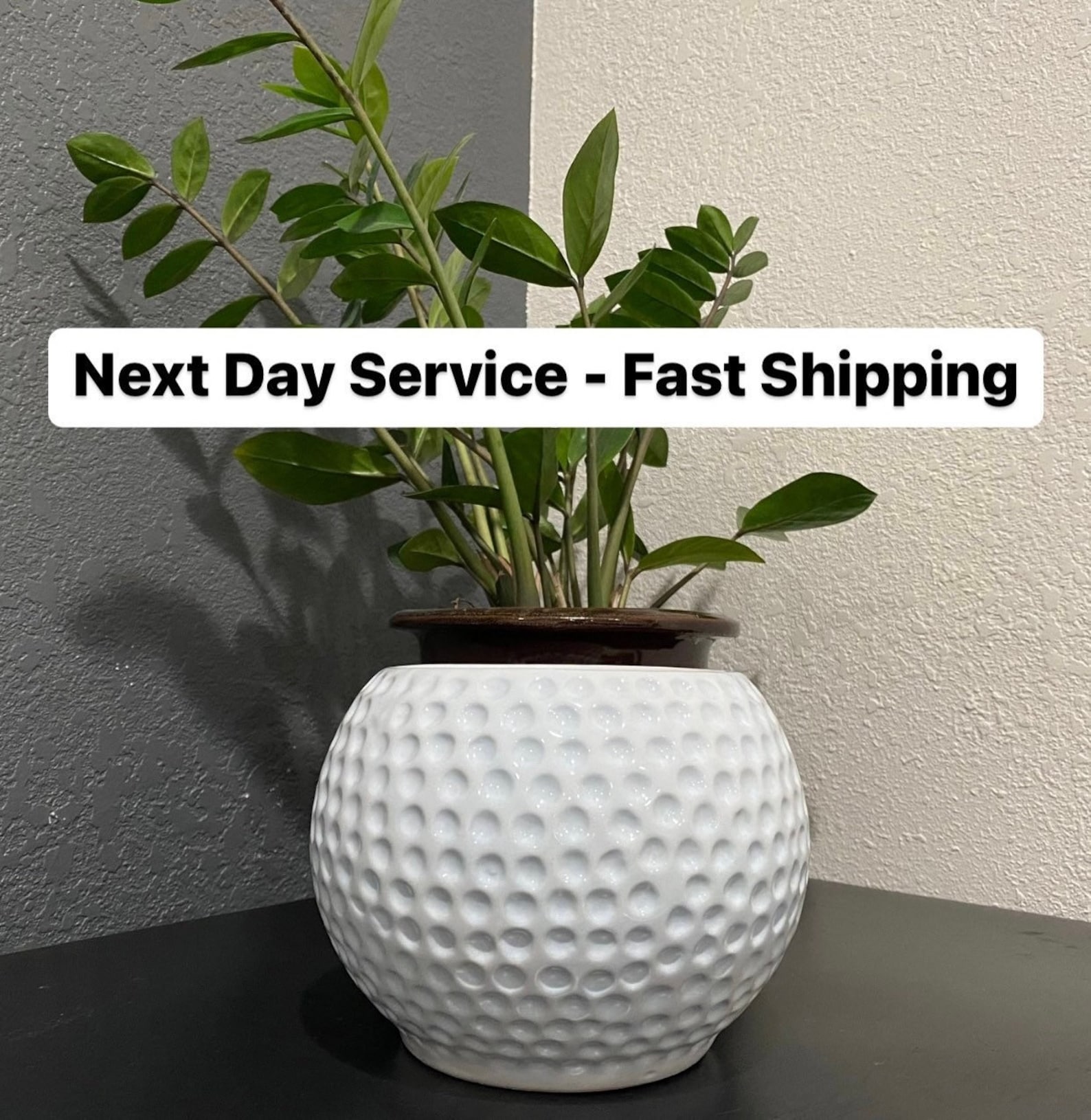 Round Golf Ball Ceramic Planter, White Spherical Display Pot Home Decor ...