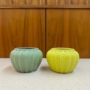 Small Green Cactus Ceramic Pot, Round Cacti Planter, Plant Vase ...