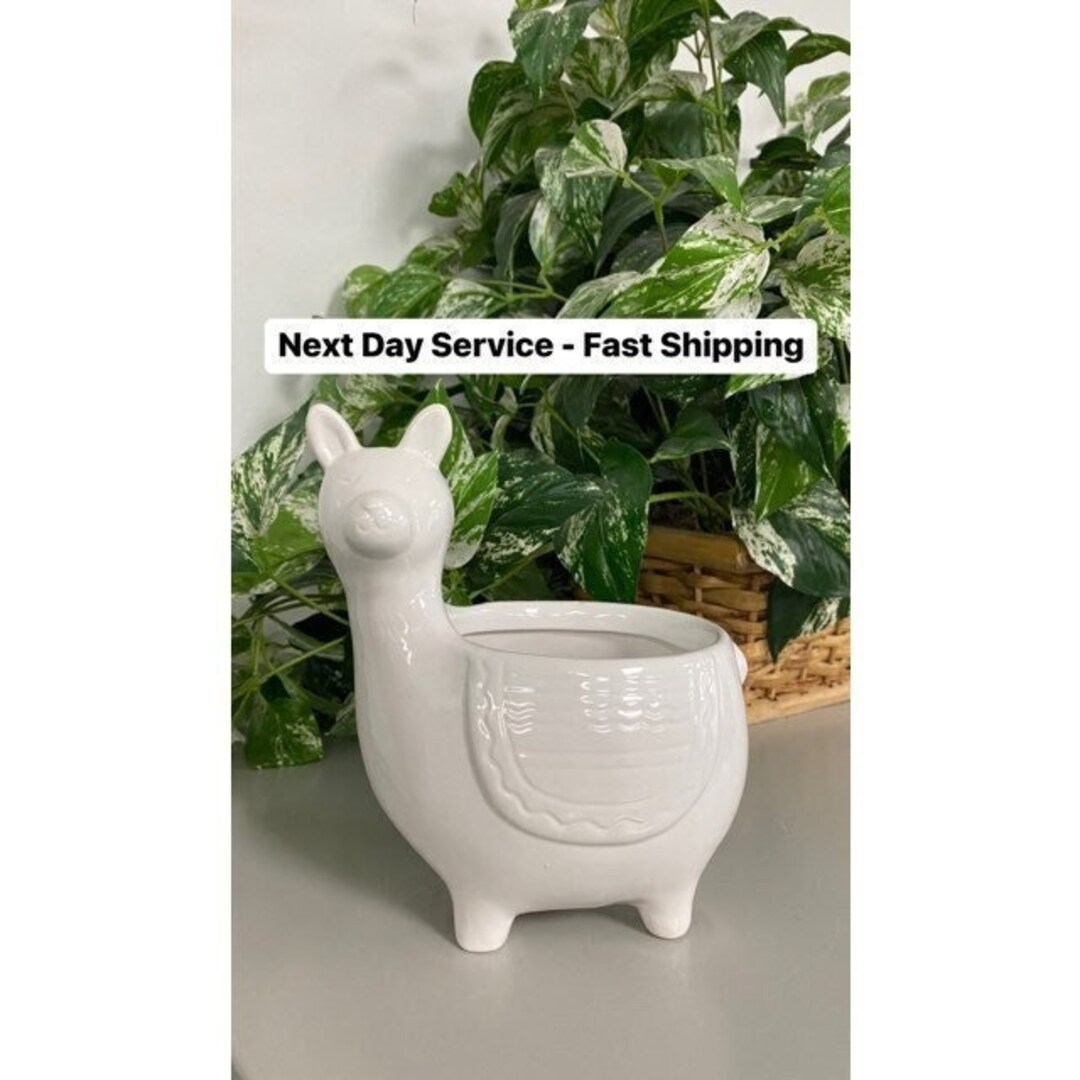 Llama Ceramic Planter, White Glossy Color Round Flower Pot Bowl, Cute ...