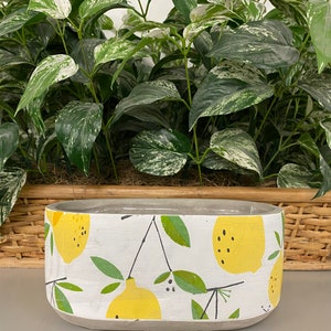RECTANGULAR Lemon Cement Planter, Flower Pot Bowl W Drainage Hole ...