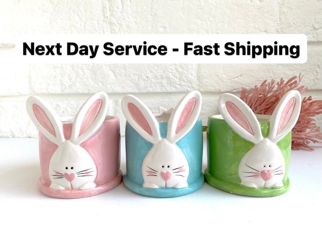 Shy Easter Bunny Round Ceramic Planter, Rabbit W/ Ears Home Decor ...