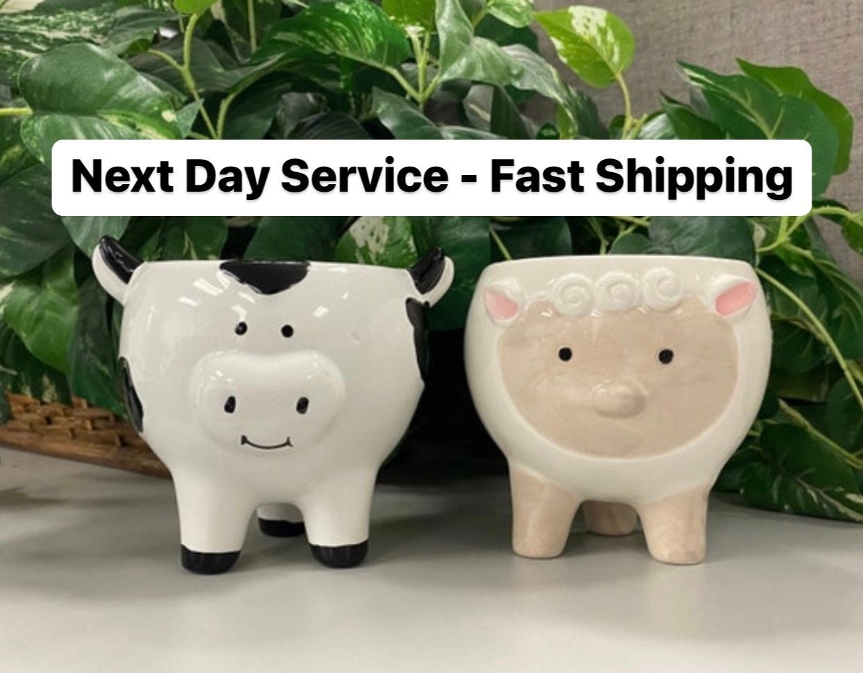 Farm Animal Planter Cow and Sheep or Lamb Planter 2 - Etsy