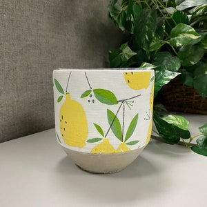 CYLINDER Lemon Cement Planter, Flower Pot Bowl W/ Drainage Hole, Loose ...
