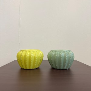 Small Green Cactus Ceramic Pot, Round Cacti Planter, Plant Vase ...
