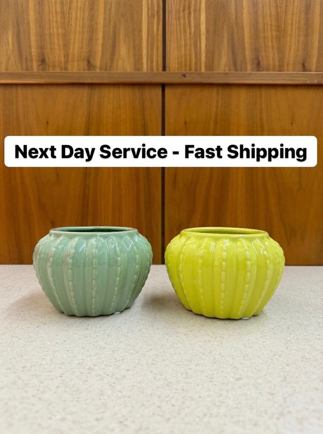 Small Green Cactus Ceramic Pot, Round Cacti Planter, Plant Vase ...