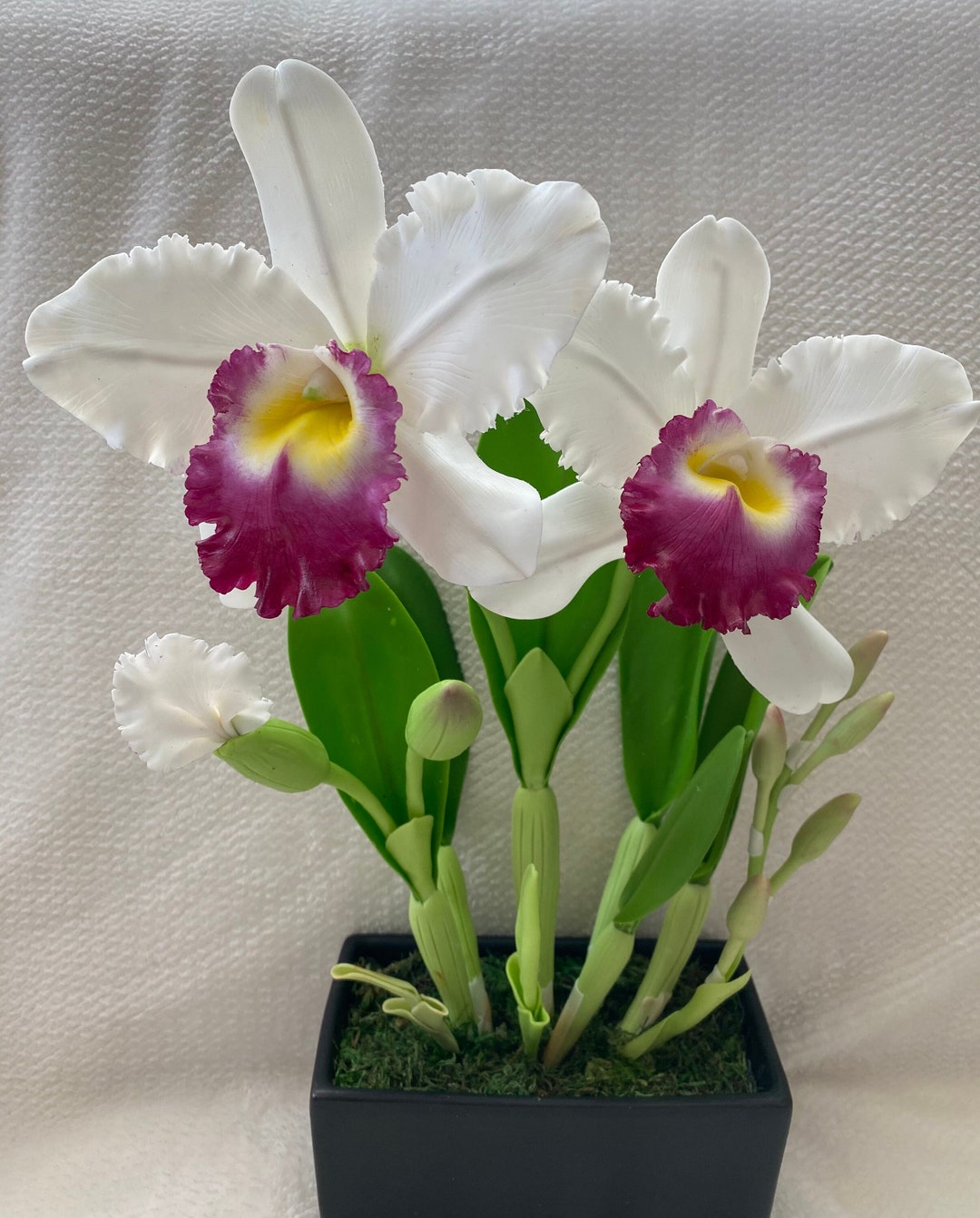 Handmade Large White Cattleya Orchid - Etsy