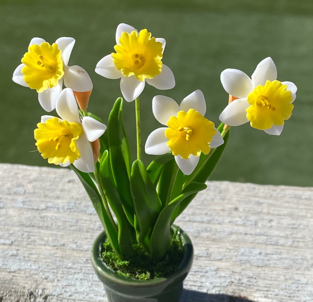 Handmade Miniature Polymer Clay Daffodils - Etsy