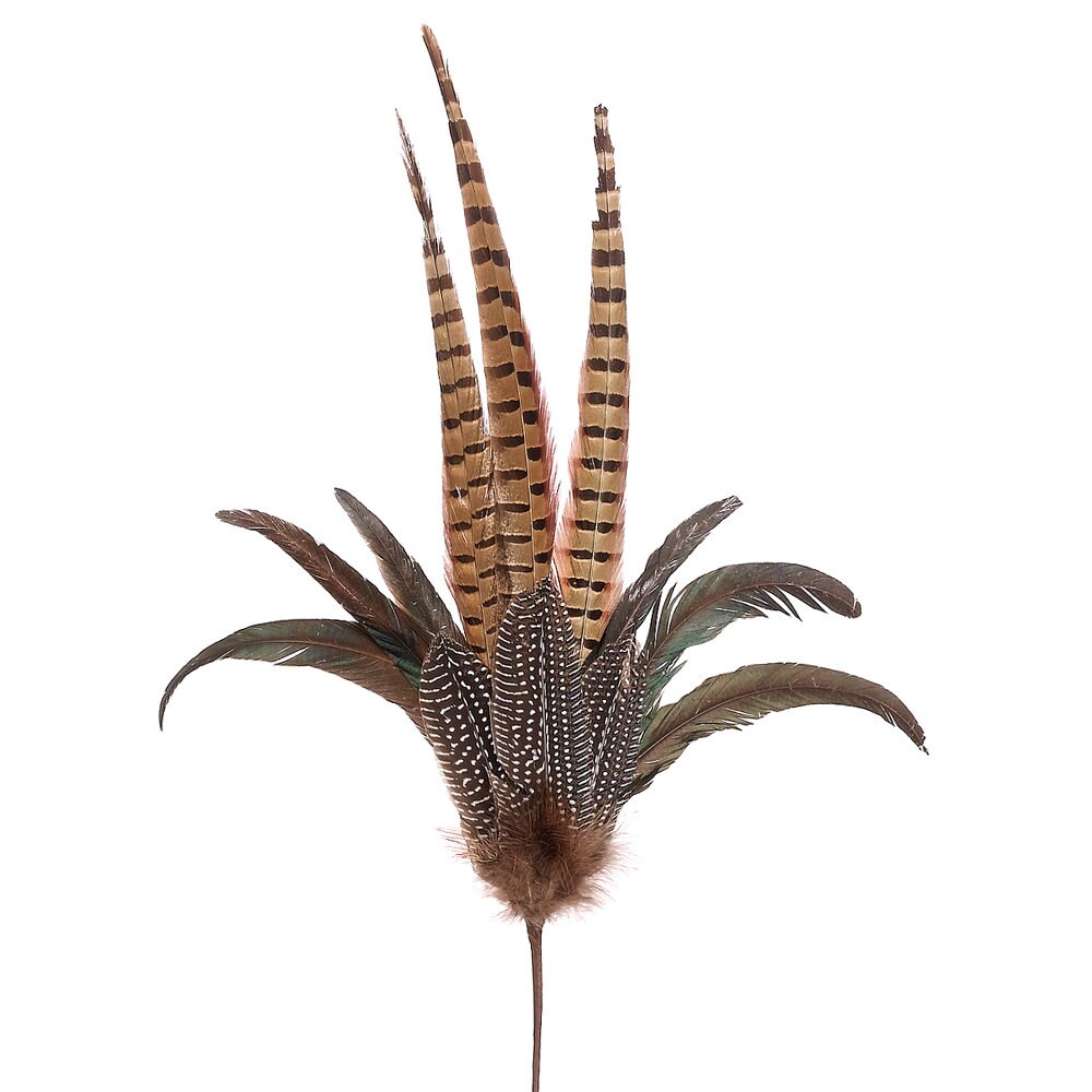 Set of 12 Tall Pheasant Feather Sprays 26 Tall - Etsy