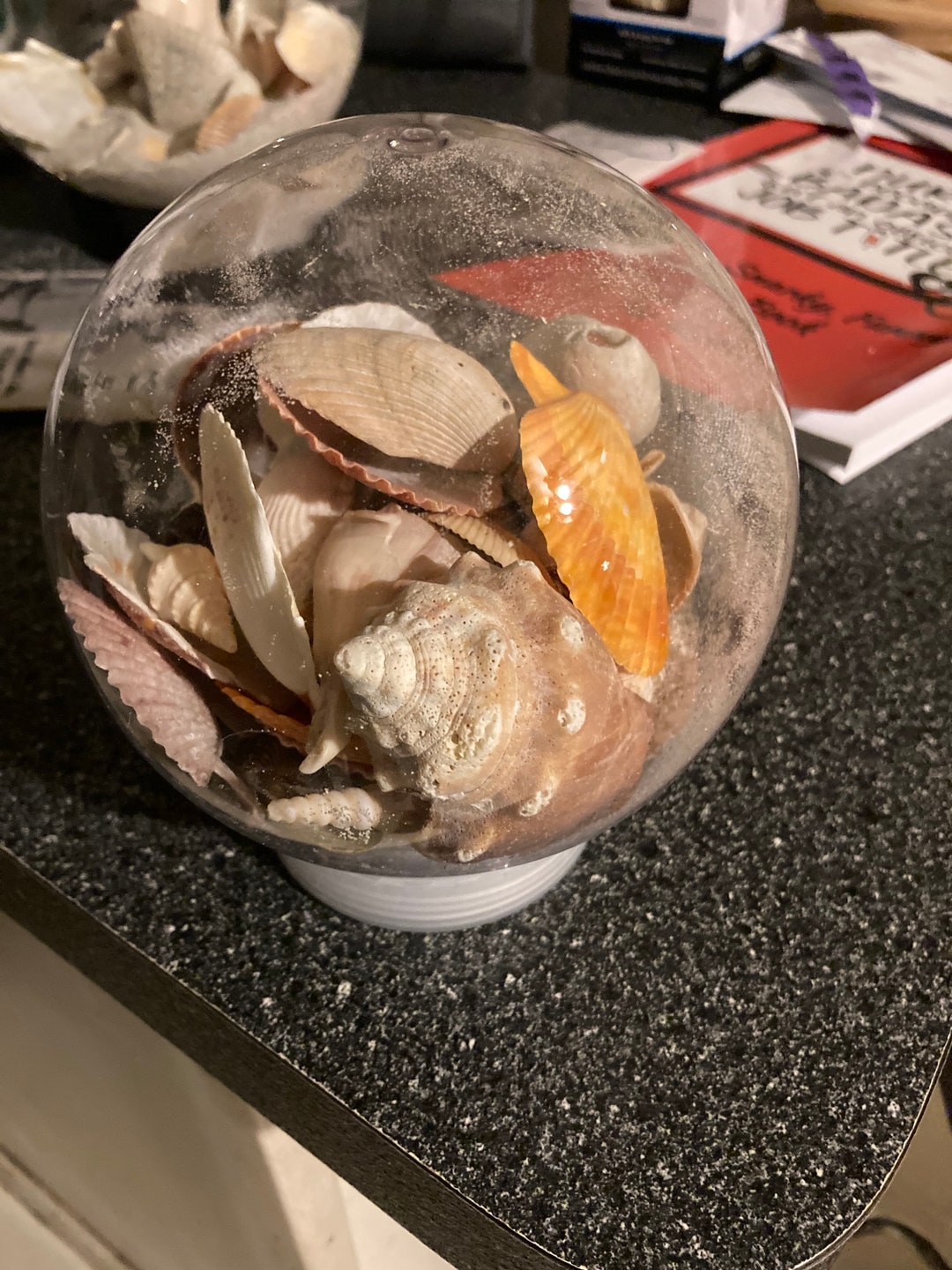 Seashell Globe - Etsy