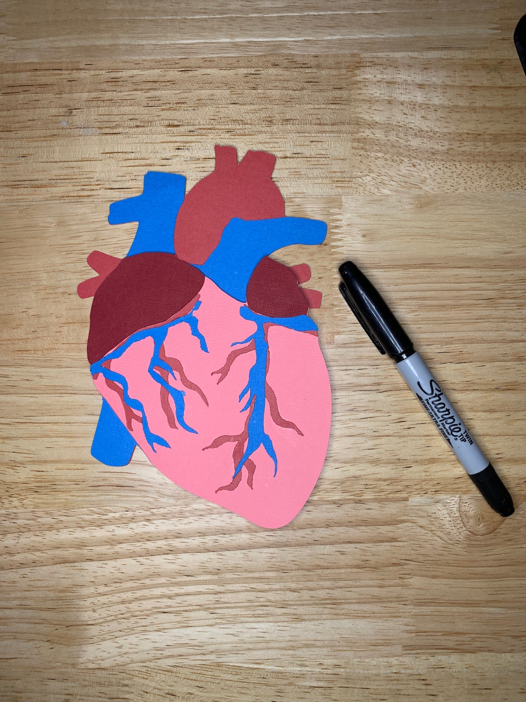 Valentine's Day Card, SVG, Heart Card Template, Cut File, Anatomy - Etsy