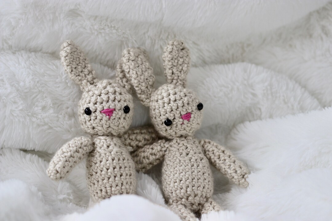 Benji the Bunny Beginner Crochet Pattern - Etsy