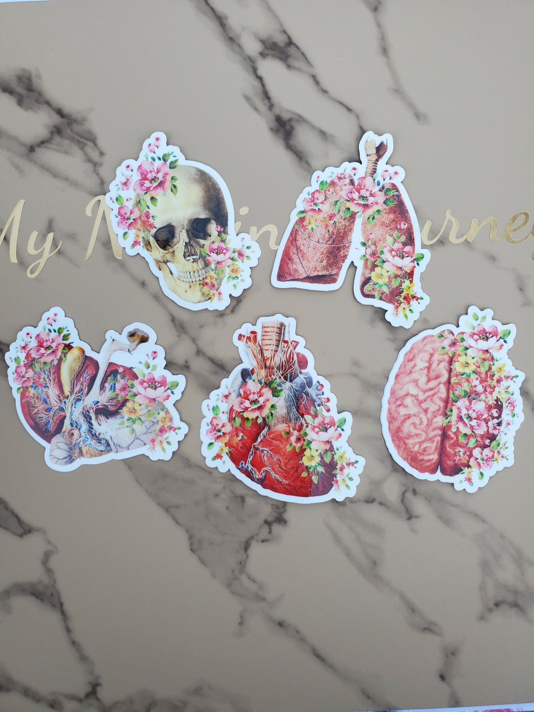 Nurse Sticker, Human Organ Sticker, Heart Sticker, Brain Sticker, Liver ...