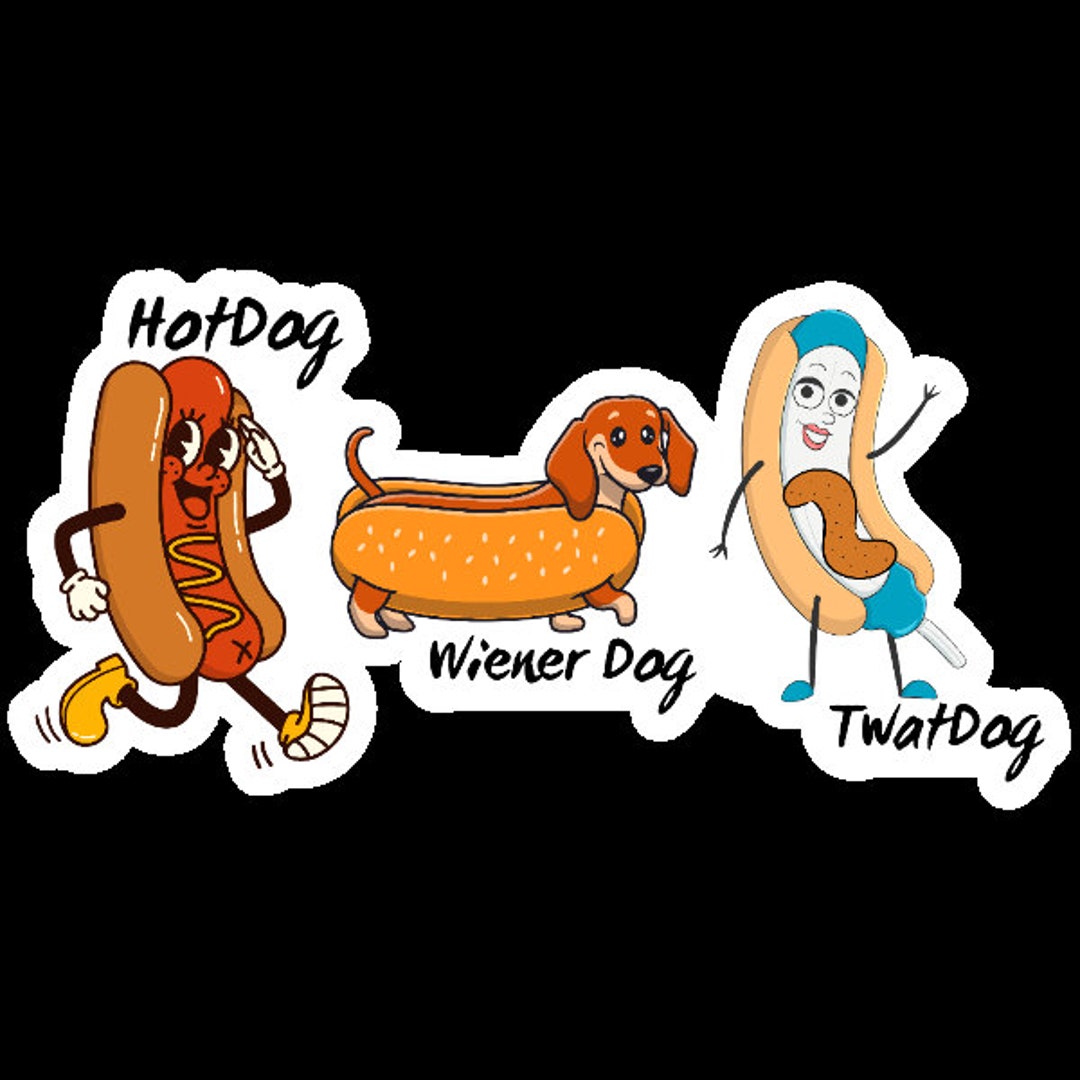 Cooter Canoe Sticker, Nurse Sticker, Cna Sticker, Cute Purewick Sticker ...
