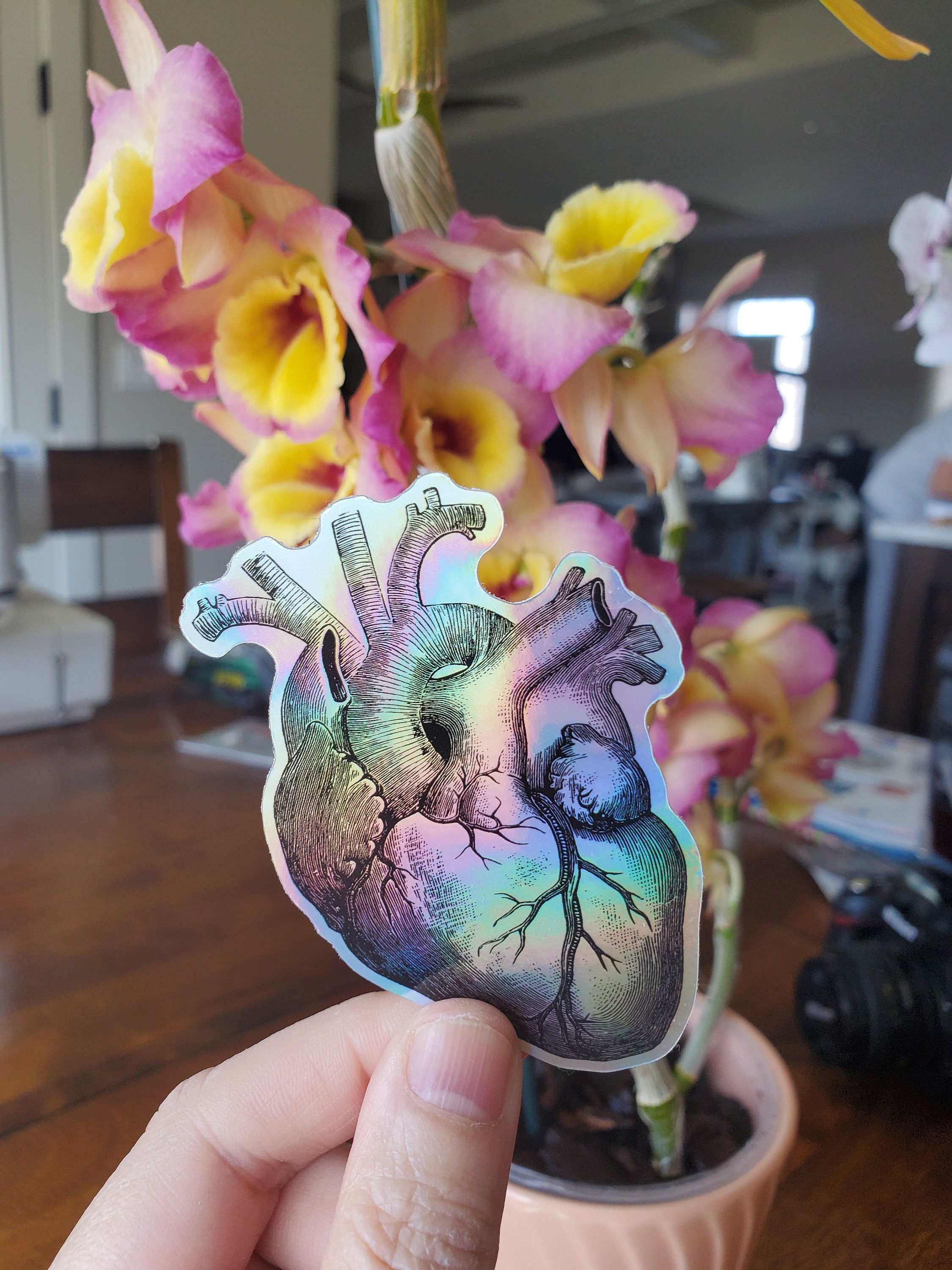 Heart Sticker Nurse Sticker Medical Student Nursing - Etsy