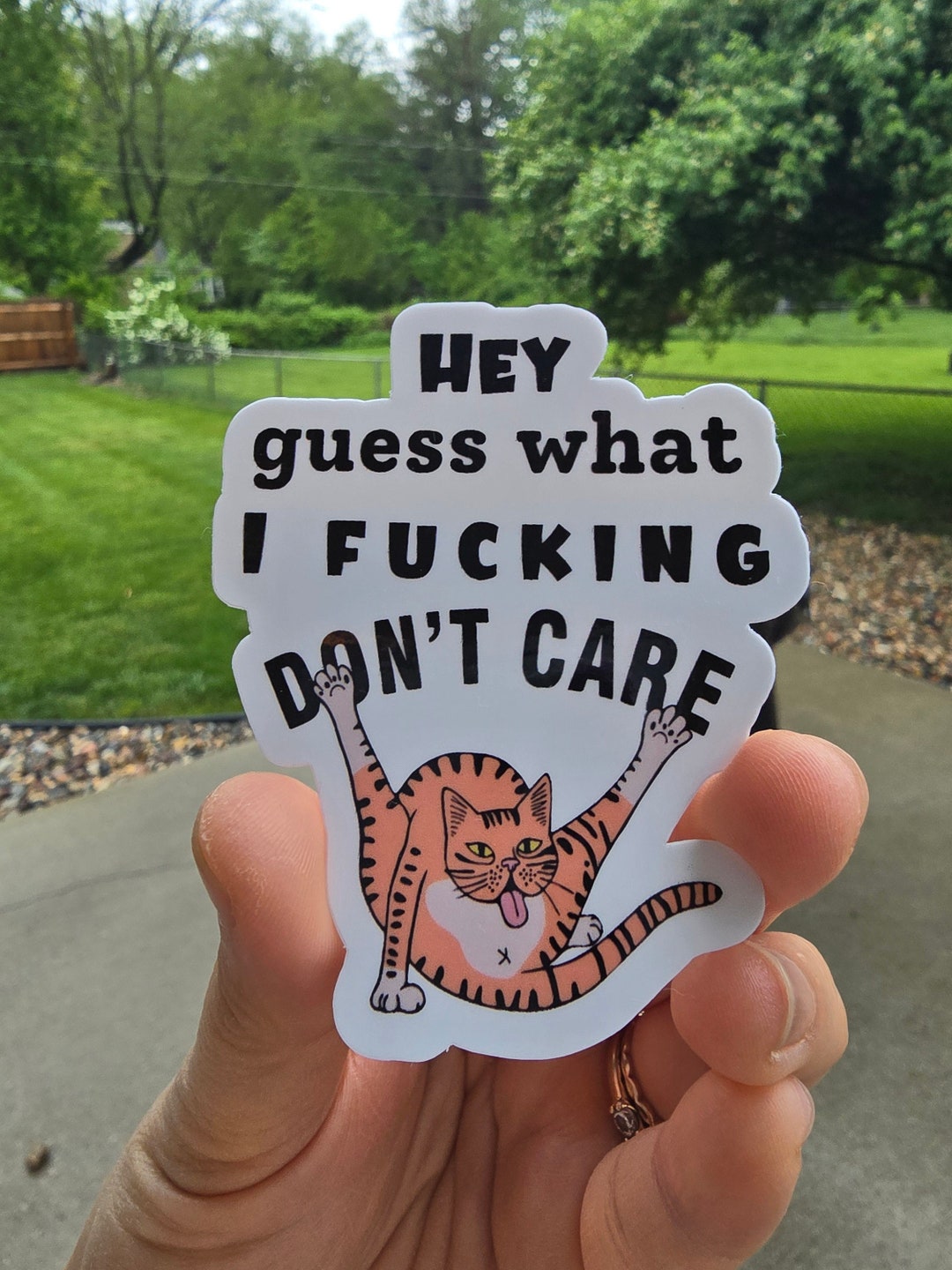 Funny Cat Sticker, I Don't Care Sticker, Cat Sticker, Sarcastic Animal ...