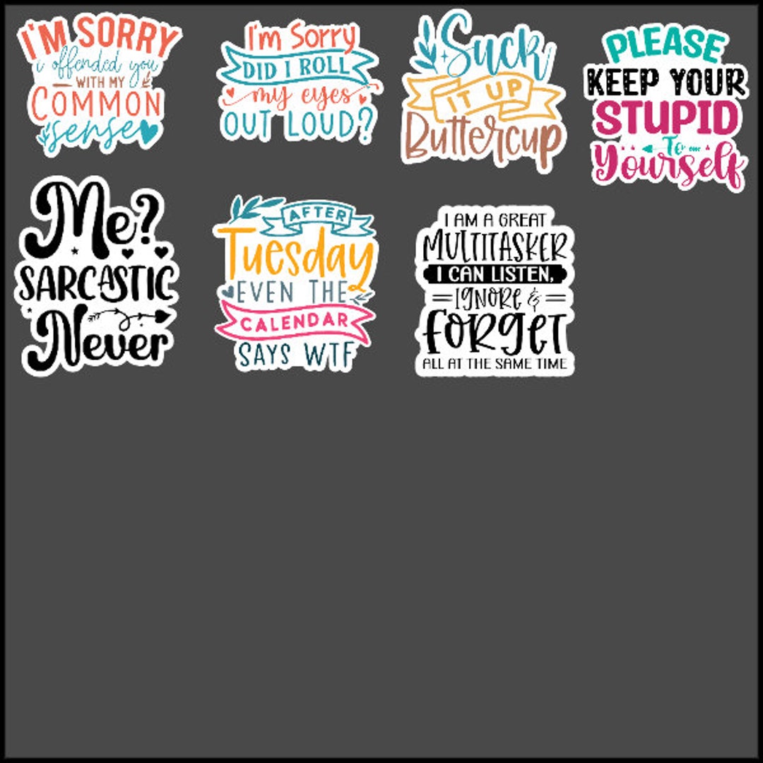 Funny Sarcastic Stickers Adult Sticker Snarky Vinyl Sticker Meme ...