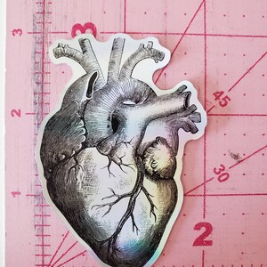 Heart Sticker, Nurse Sticker, Medical Student, Nursing Student, LPN ...