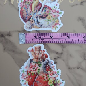 Nurse Sticker, Human Organ Sticker, Heart Sticker, Brain Sticker, Liver ...