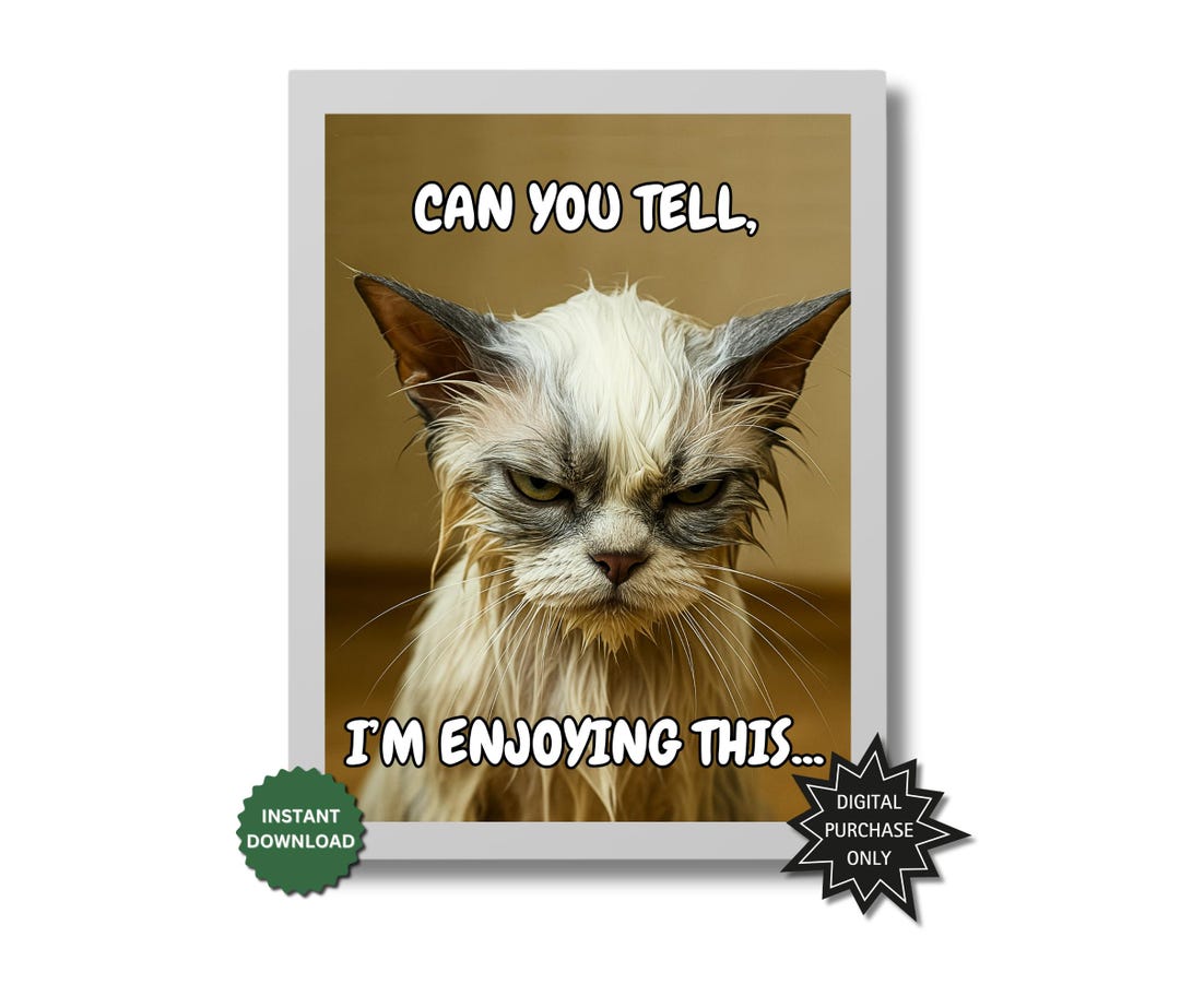 Expressive Cat Humor Digital Poster in 5 Sizes | Funny Angry Wet Cat ...