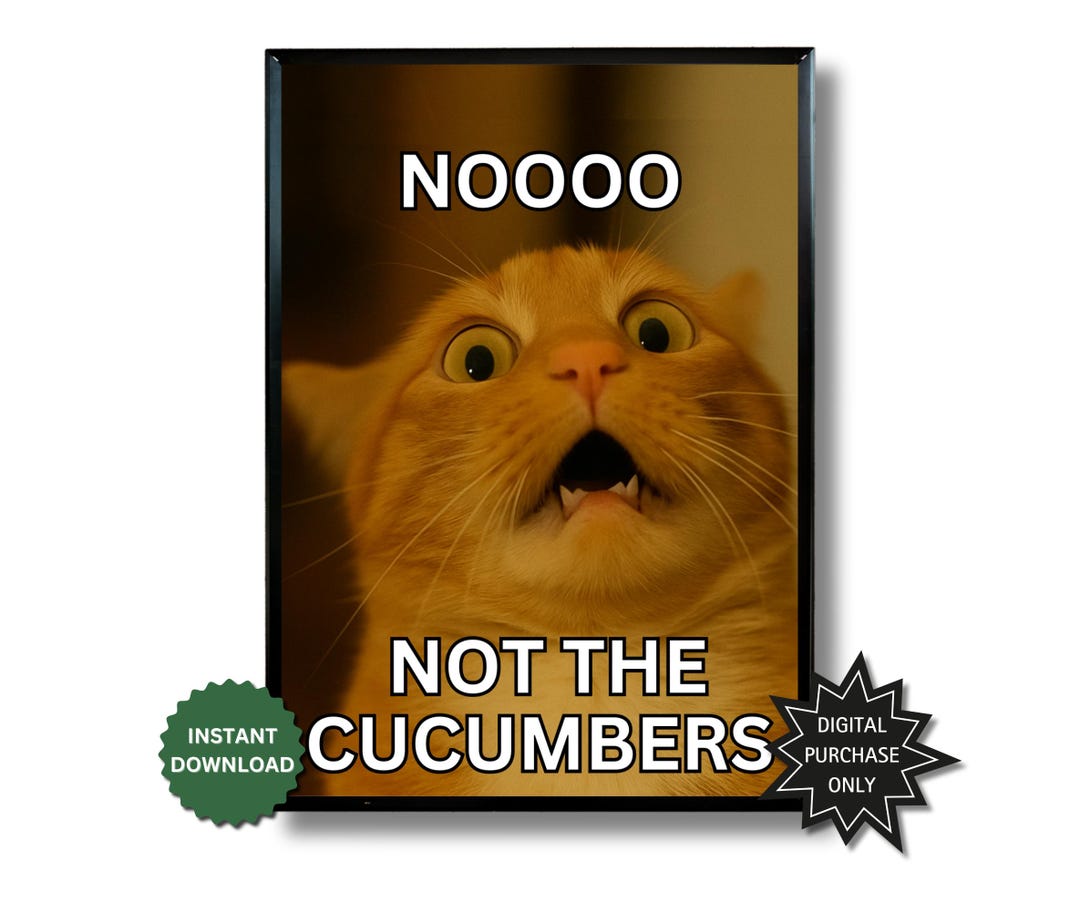 Hilarious Cat Meme Print for Pet Lovers | Instant Digital Download Wall ...