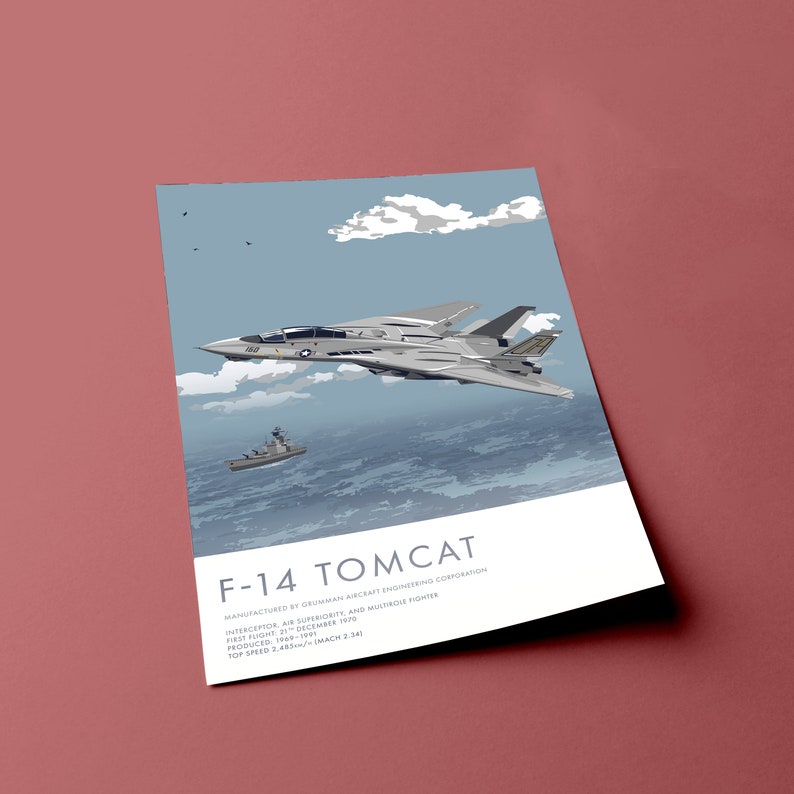 F-14 Tomcat US Navy Aircraft Print - Etsy