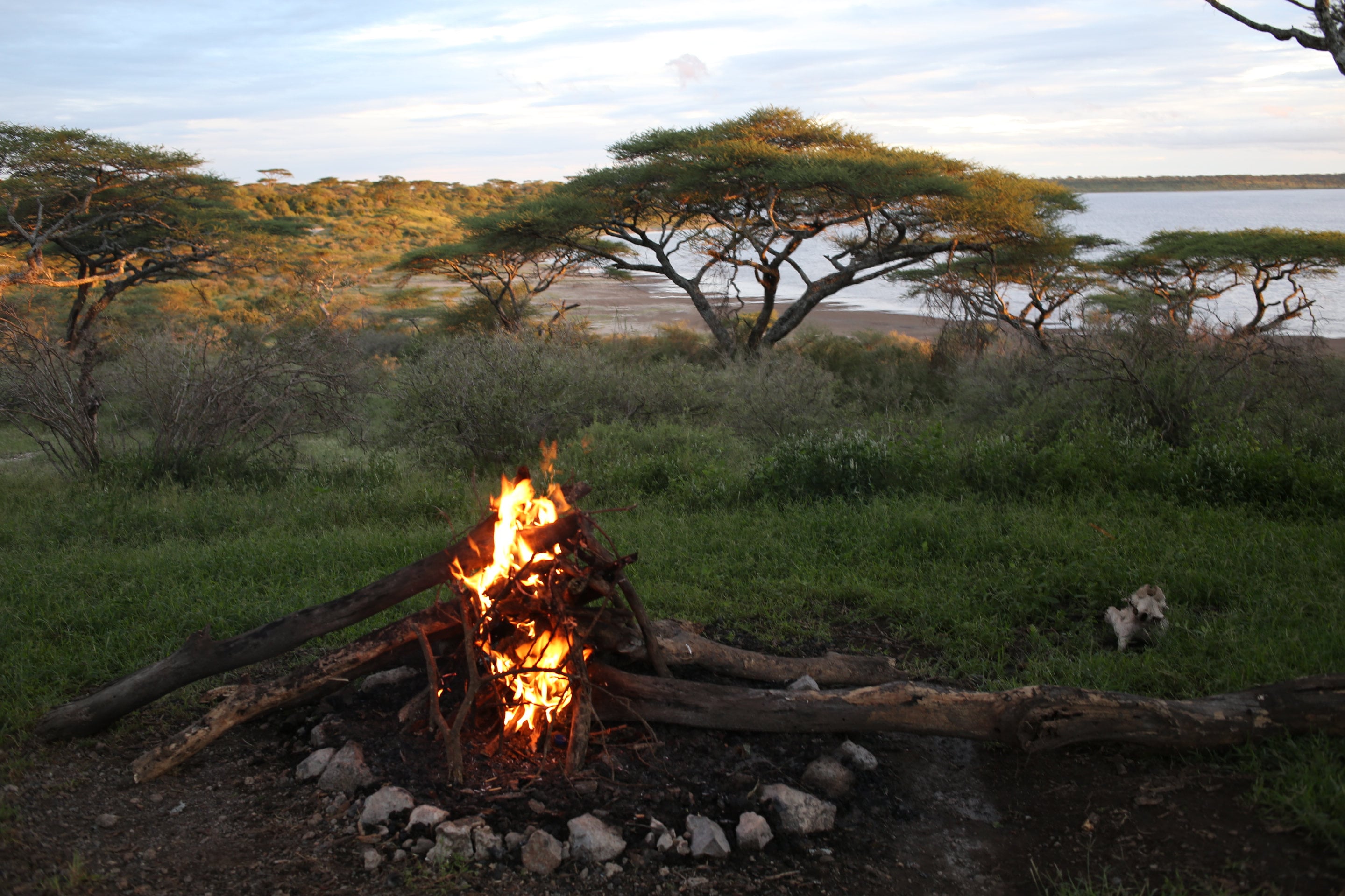 African Campfire - Etsy