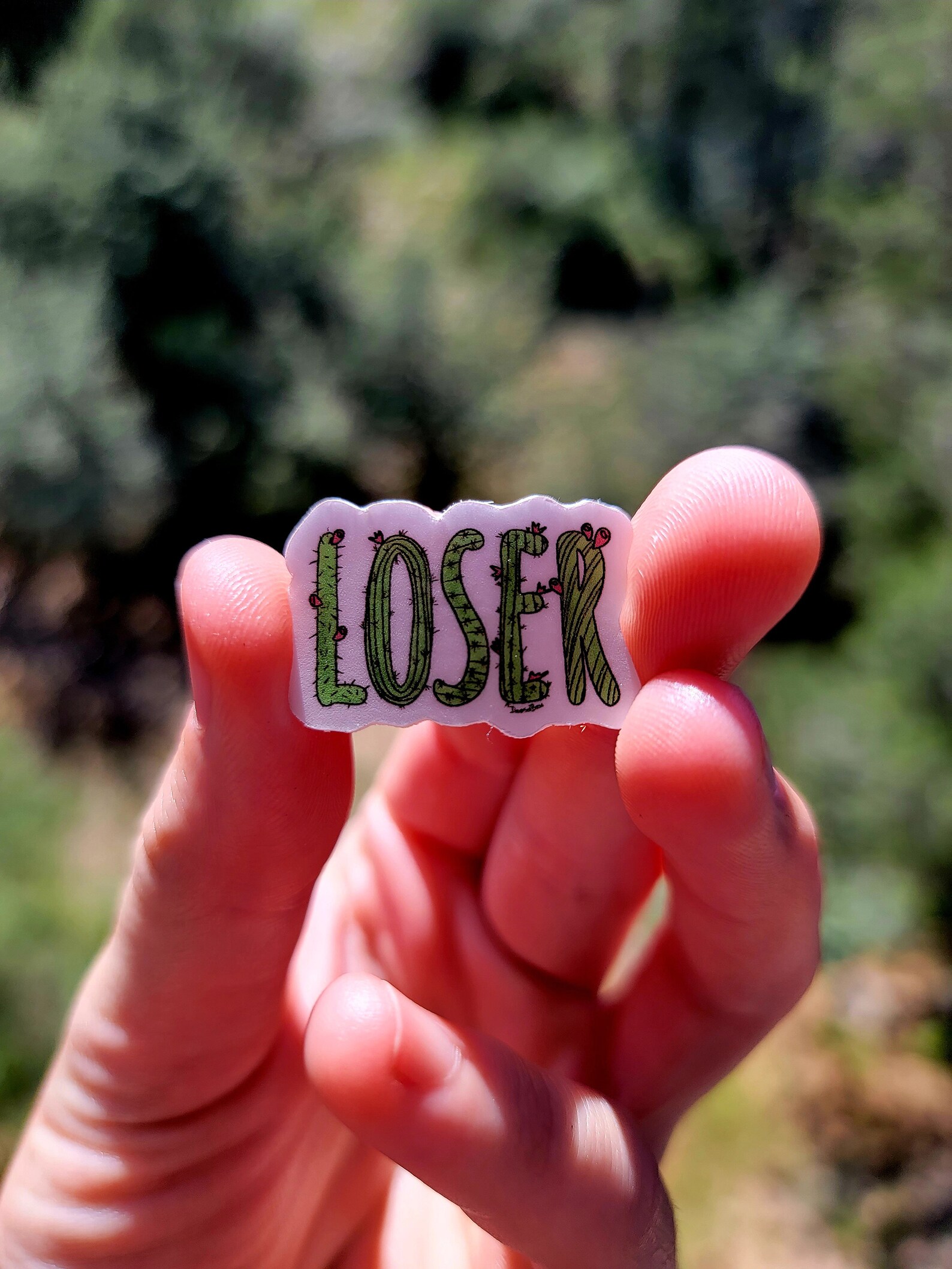 Loser Cactus Sticker, Cacti Letters, Desert Stickers, Permanent ...