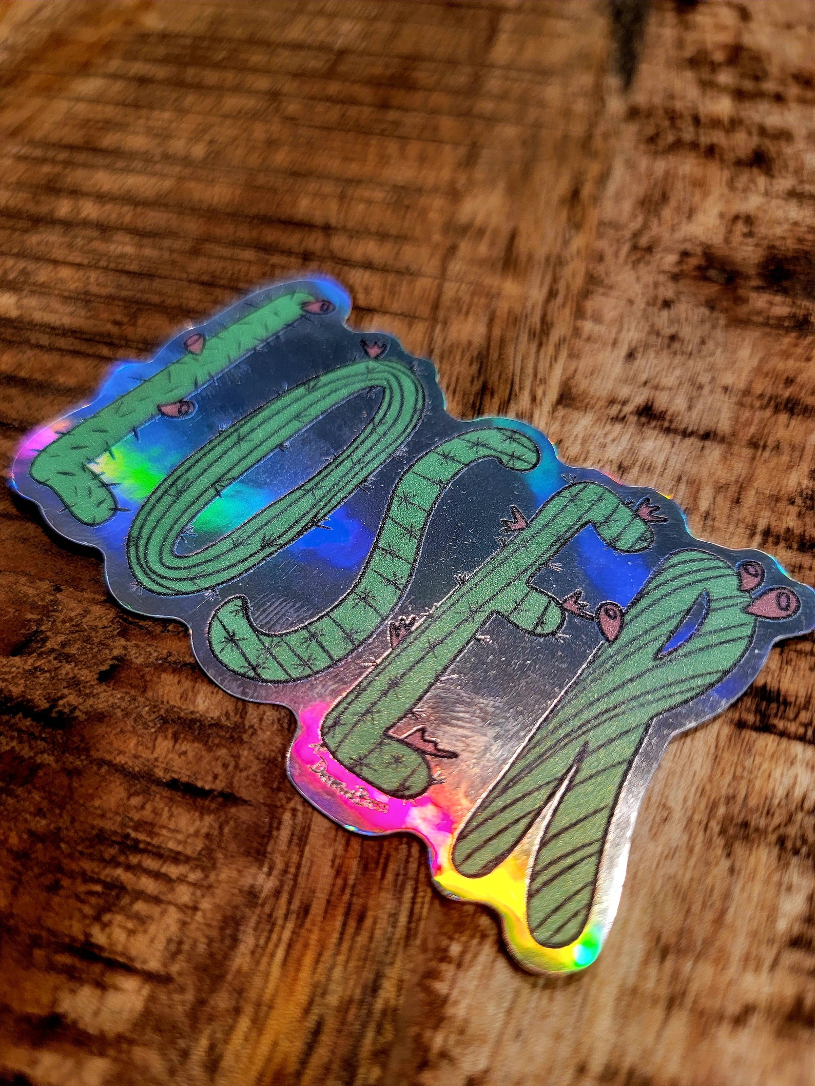 Loser Cactus Sticker, Cacti Letters, Desert Stickers, Permanent ...
