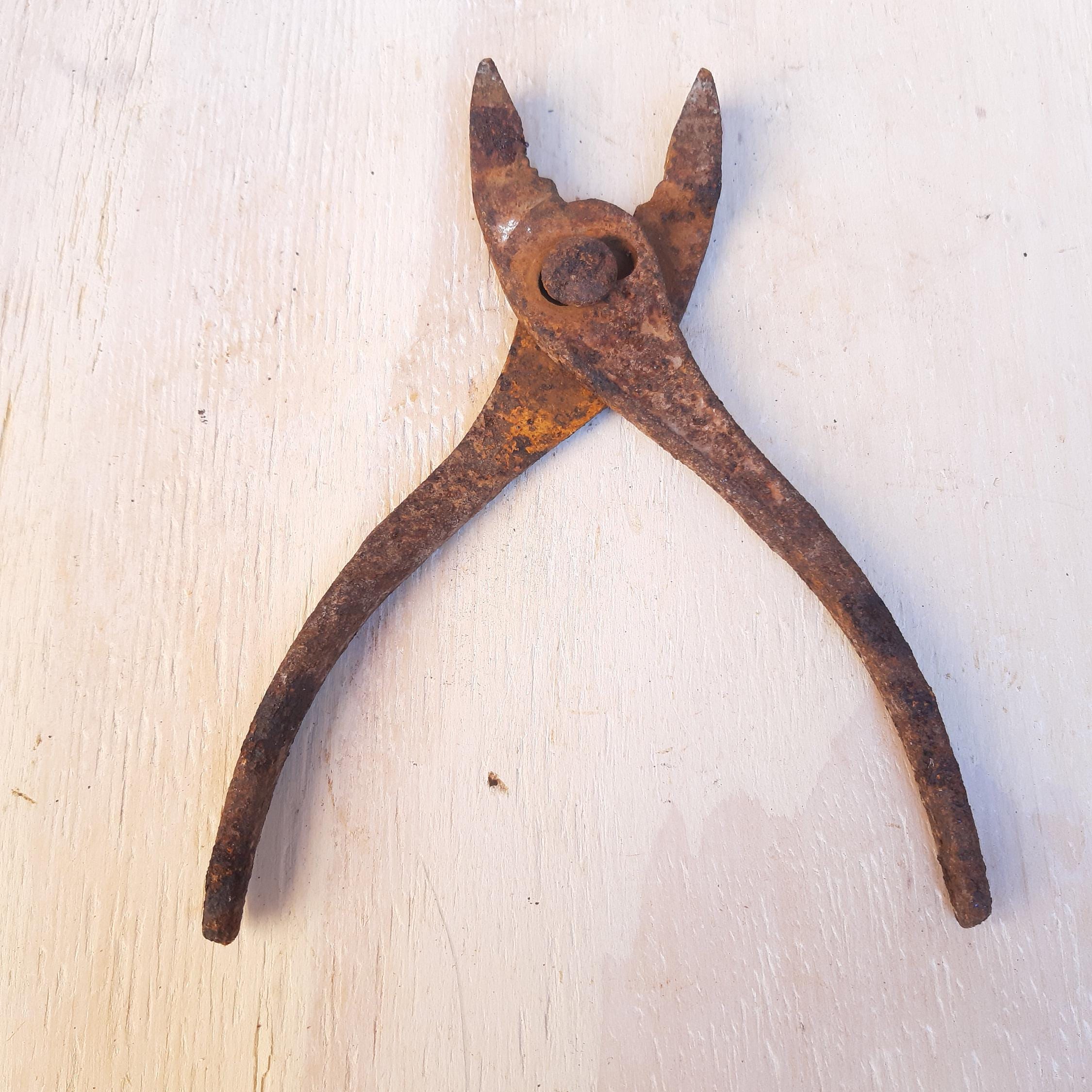 Old Iron Pliers, Rusty Retro Tool, Primitive Pliers. - Etsy