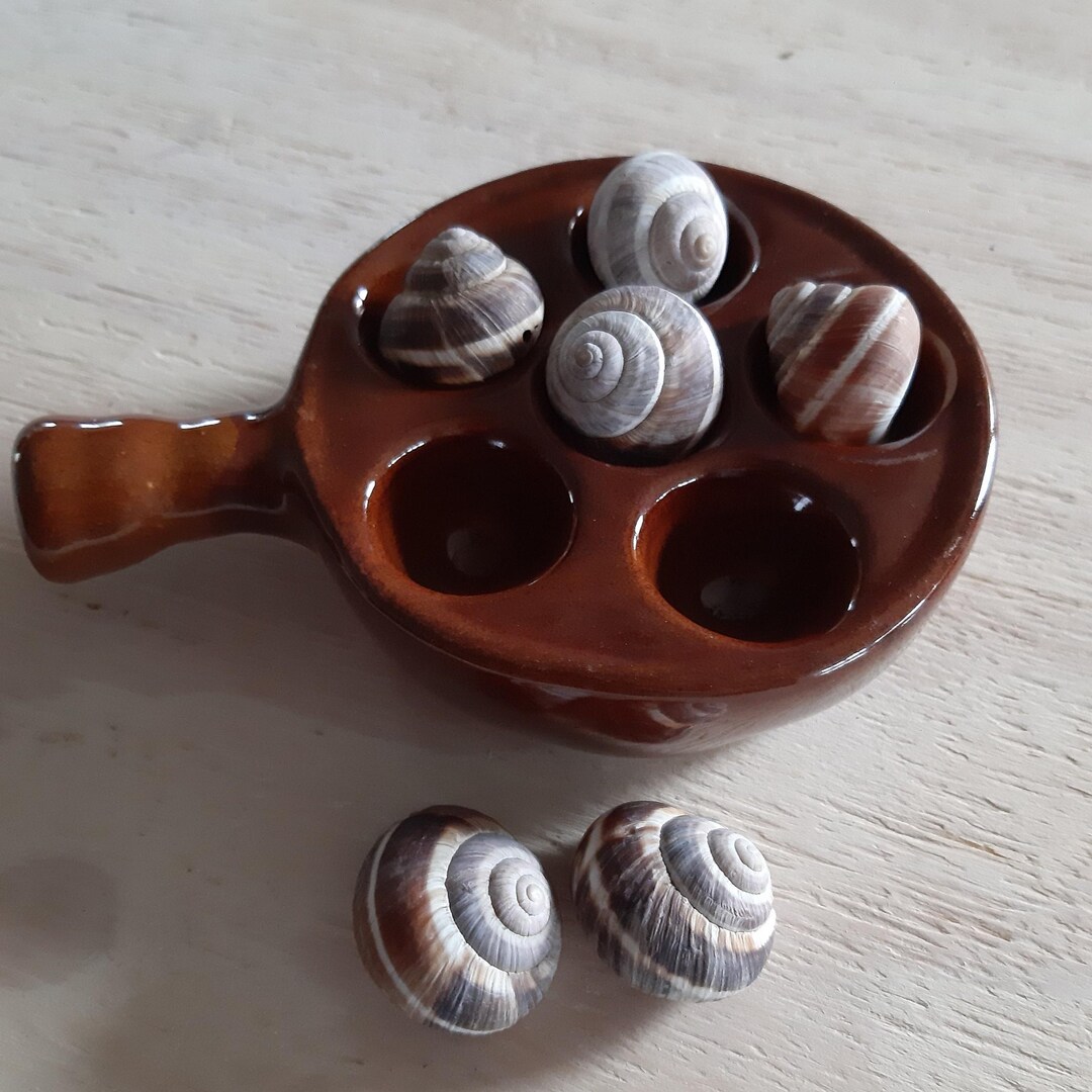 Escargot Dishes, Ceramic Snail Dish, French Kitchenware Serving Snails ...