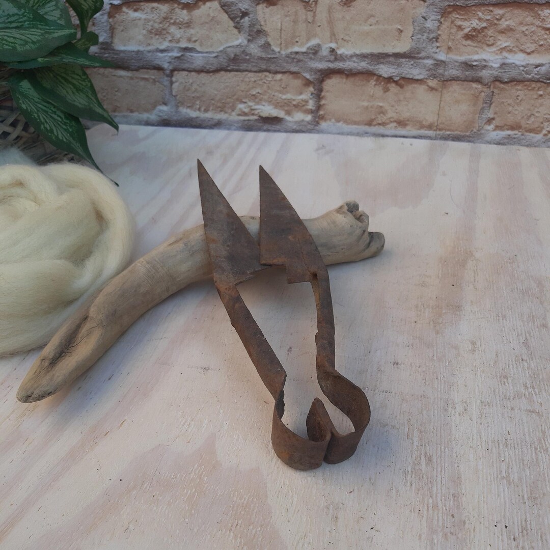 Primitive Sheep Shears, Metal Sheep Shears, Hand Forged Rusted Sheep ...