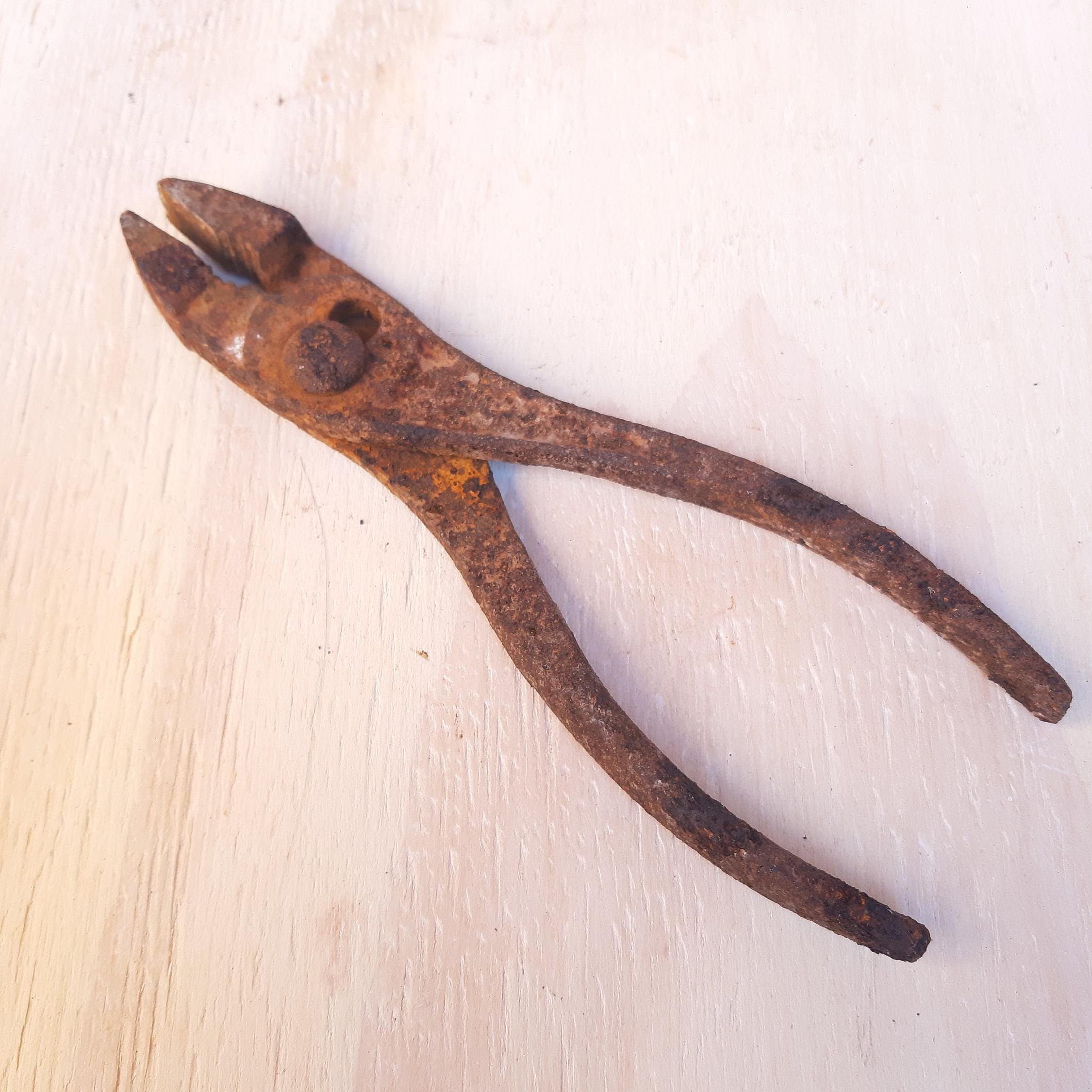 Old Iron Pliers, Rusty Retro Tool, Primitive Pliers. - Etsy