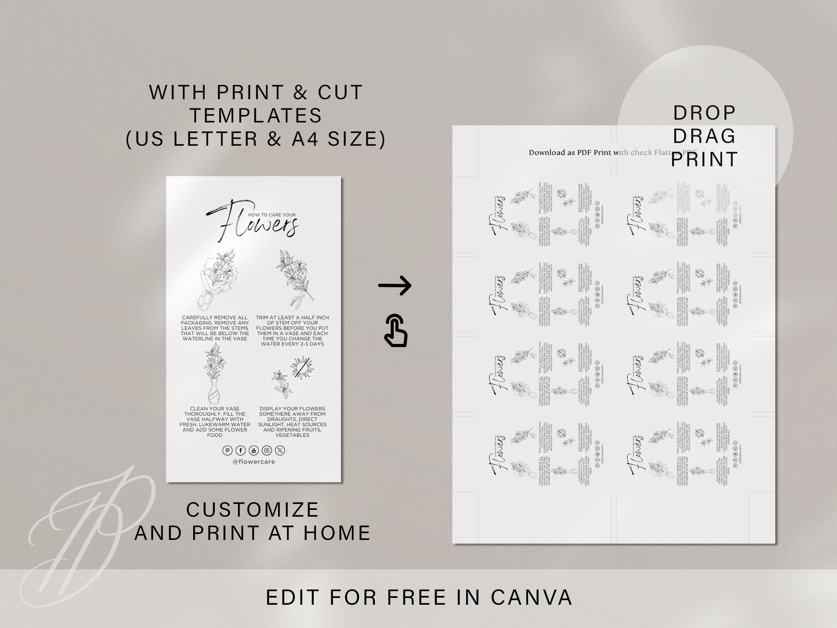 Flower Care Hang Tag Fresh Flower Plant Care Card Bouquet Care ...