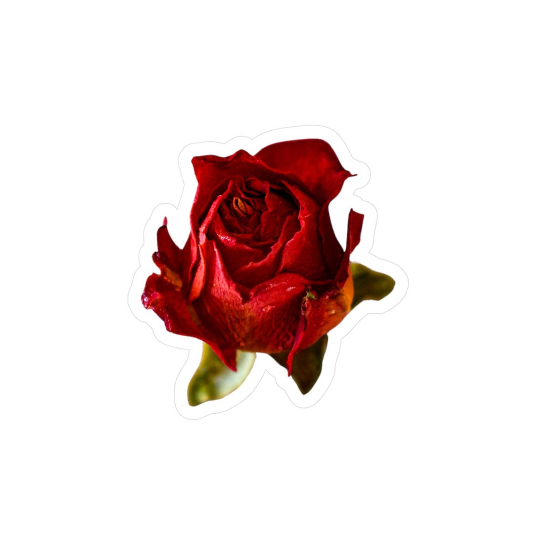 Romantic Red Rose Vinyl Decal Floral Sticker for Scrapbooking, Laptops ...