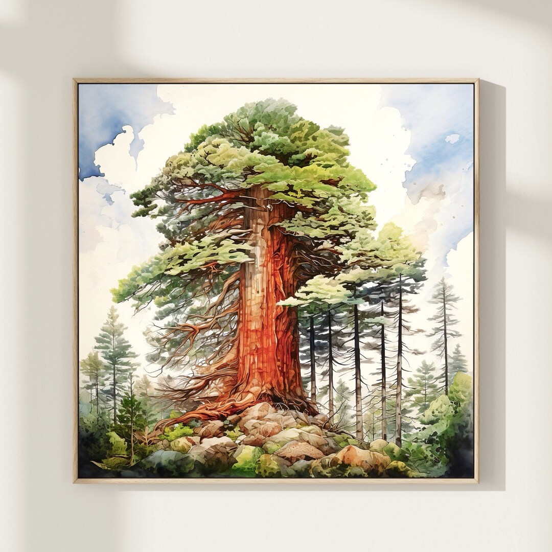 Redwood National Park Art Print, Redwood Watercolor Art Decor, National ...