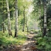 Birch Grove Watercolor Painting Art Print - Etsy