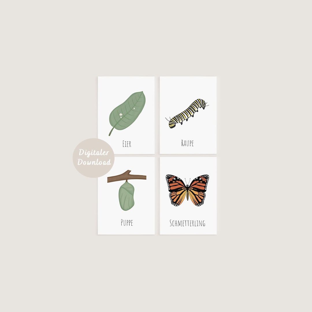 Montessori Life Cycle Flashcards | Monarch Butterfly | DIGITAL DOWNLOAD ...