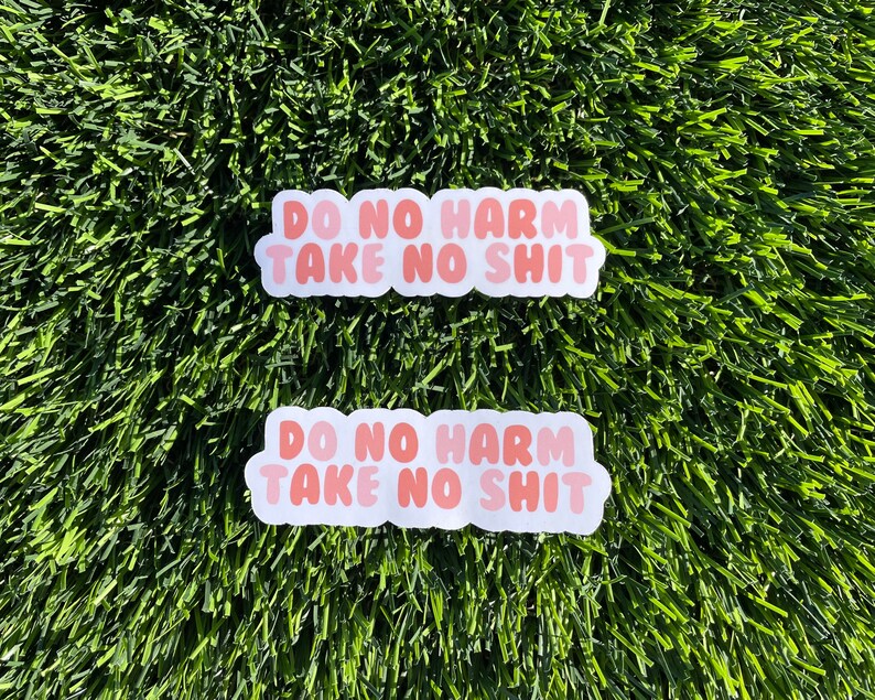 Do No Harm Take No Shit Sticker for Laptop iPad Water Bottle Glossy and ...
